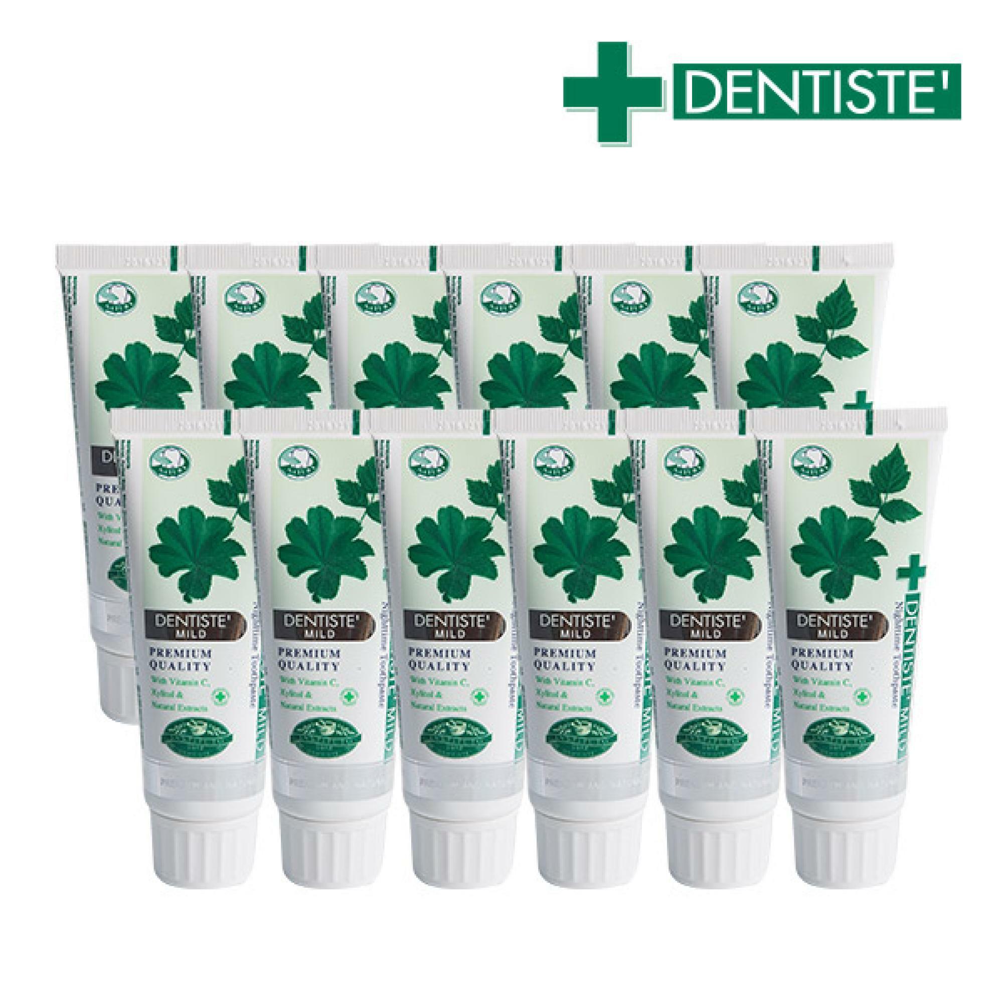 Dentiste Mild Nigttime Toothpaste Tube 60G*12EA - 덴티스테 - 뷰티 | 신세계면세점