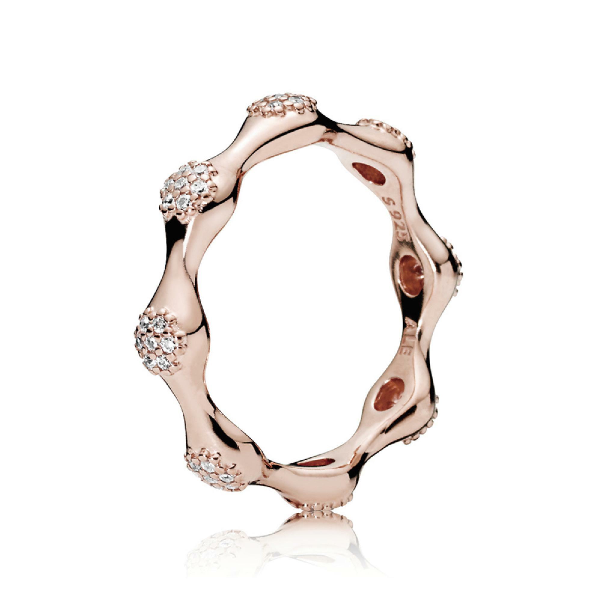 187295CZ - 판도라 - 시계/주얼리 | 신세계면세점